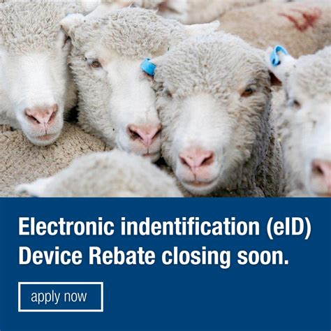 🐏🐐 Department Of Primary Industries And Regions