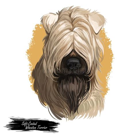 Мягк покрытая Wheaten рука акварели терьера покрасила порт собаки