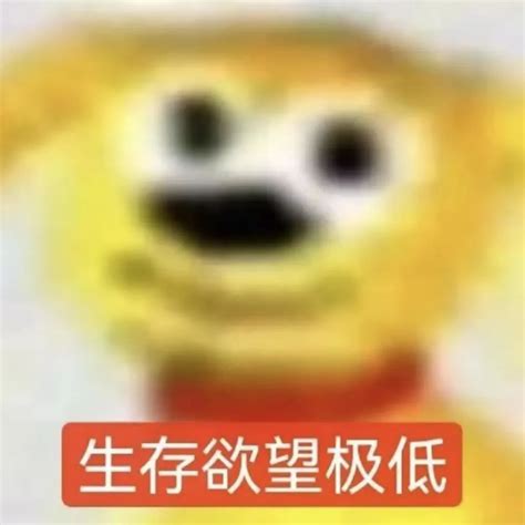 可爱萌宠表情配文“生存欲望极低”，尽显无奈与摆烂心态 大学生爱用的抽象表情包表情包图片动图 求表情网斗图从此不求人