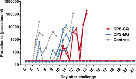 Parasitemia After Challenge Infection Parasitemia Was Assessed