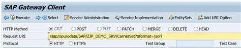 Building OData Services Testing CRUD Q Operations From Gateway Client Discovering ABAP