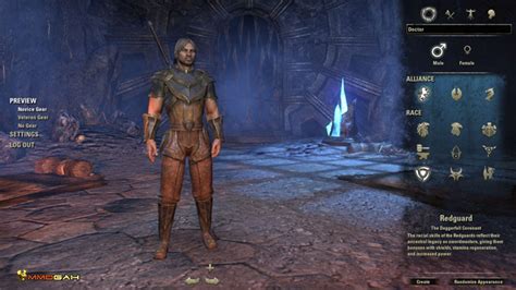 Racial Builds Guide Of The Elder Scrolls Online