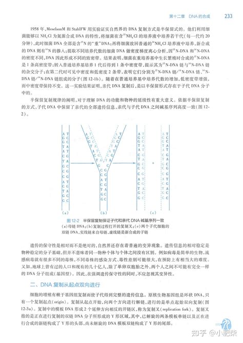生化课本带读 第十二章 Dna合成（复制） 知乎