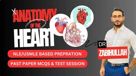 Anatomy Of The Heart Nleusmle Based Preparation Drzabiullah