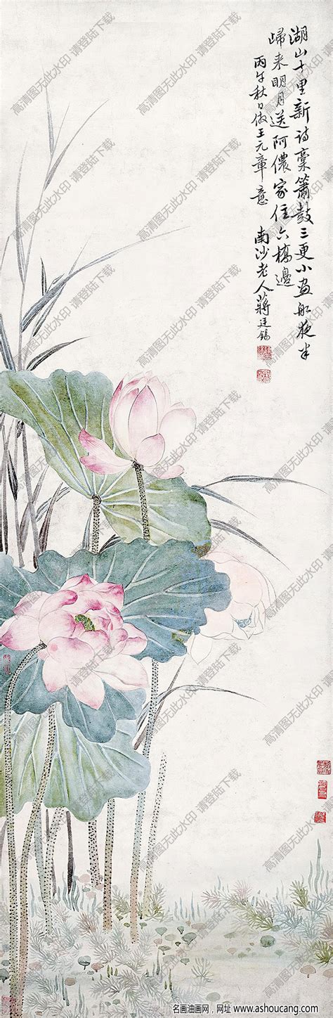 蒋廷锡国画 荷花 高清大图下载 名画油画网