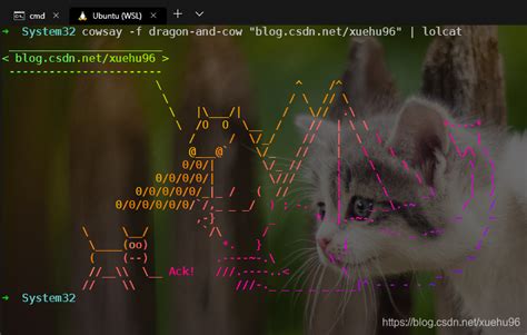 Windows Terminal新版终端 美化设置背景图片和标题terminal 怎么设置标题 Csdn博客