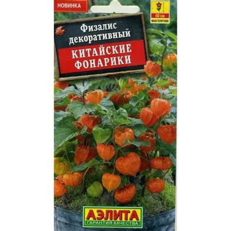 Купить семена физалиса по выгодным ценам, доставка по России