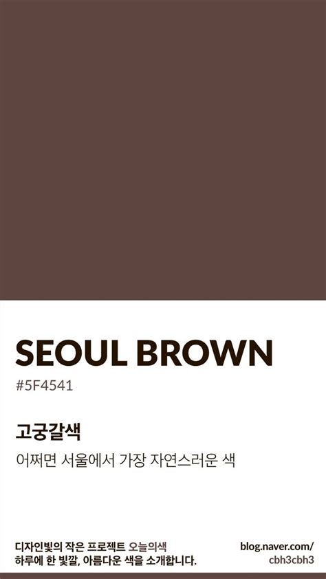[오늘의 빛 오늘의 색] 고궁갈색 네이버 블로그 색 이름 색 뜻 색 코드