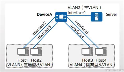 专题二：虚拟局域网vlan Csdn博客