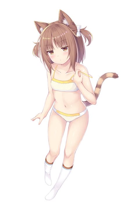 Azuki Nekopara Drawn By Sakurabahikaruloveindog Danbooru