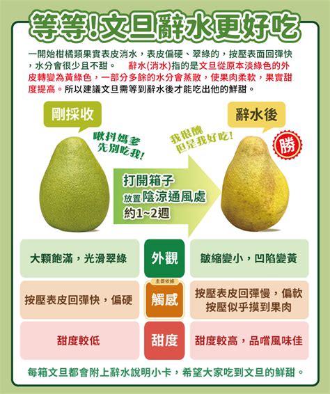 【產地直銷】麻豆文旦 紅文旦 紅柚 產地直銷 文旦 柚子 嚴選 麻豆 送禮【小麥購物】【f035】 蝦皮購物