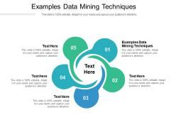 Examples Data Mining Techniques Ppt Powerpoint Presentation Icon Sample Cpb PowerPoint Slide