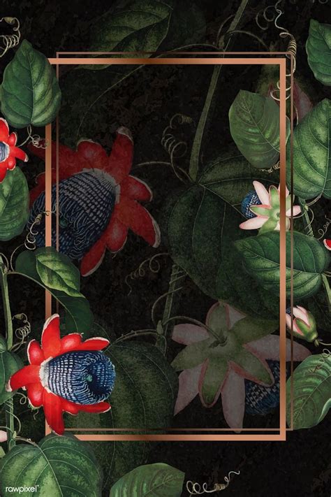 The Winged Passion Flower Rectangle Frame Vector Premium Image By