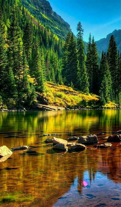 Pin Di Shyamal Acharjee Su Amazone Nature Photos Paesaggi Natura