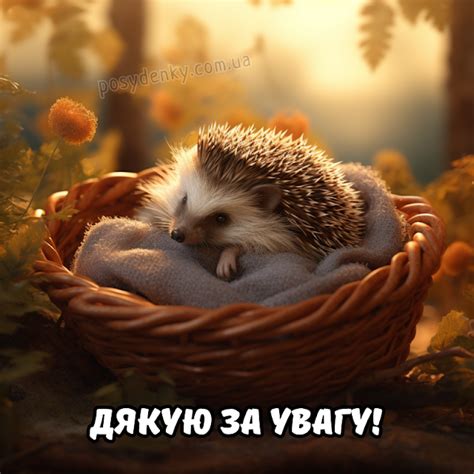 Дякую за увагу картинки