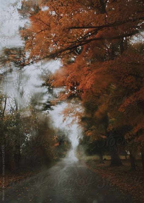 Rainy Day Aesthetic Autumn Aesthetic Autumn Rain Autumn Leaves October Country I Love Rain