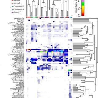 Heatmap With Dendrograms Hierarchical Clustering Based On Bray Curtis