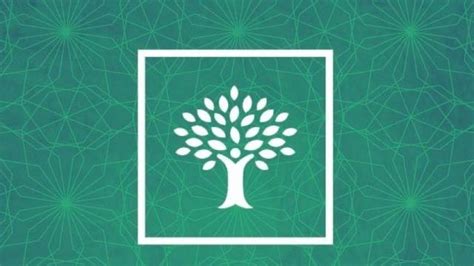 Lote Tree Foundation A Community Crowdfunding Project In Manchester