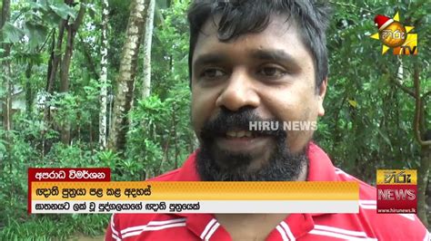 දේපල නිසා කෑලි කෑලිවලට දොළේ පා කර යැවූ සහෝදරකම යාළුවො එක්ක එකතු වෙලා