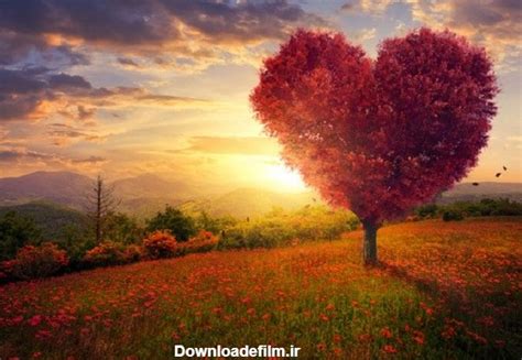 عکس طبیعت عاشقی