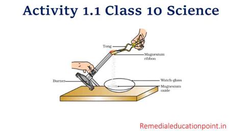 Activity 1 1 Class 10 Science Remedial Coaching