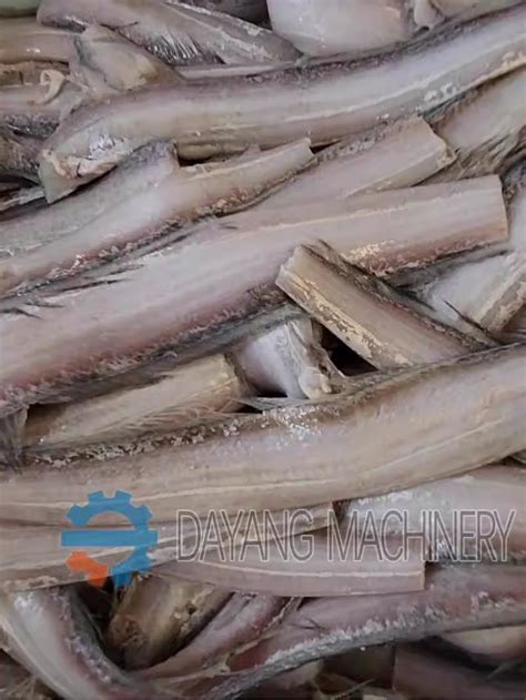 鲜鱼去鳞机商用脱鱼鳞机毛刷式鲫鱼刮鳞设备半自动扇贝清洗设备 阿里巴巴
