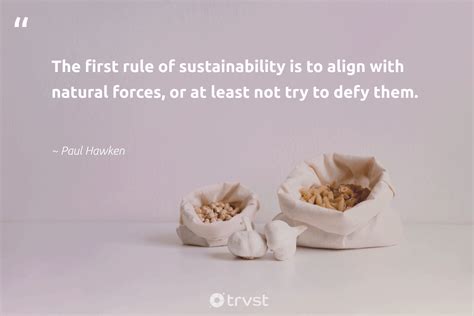 73 Sustainability Quotes And Sayings Inspiring Sustainable Living
