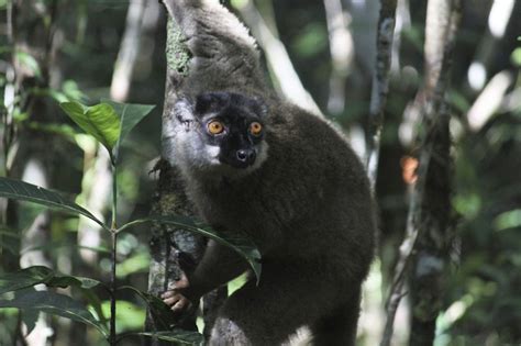 Un Report Humans Accelerating Extinction Of Other Species