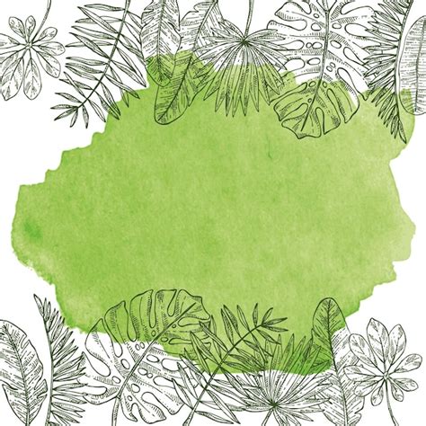 熱帯植物と熱帯の葉を持つ水彩画の背景。ベクトルは、手描きのイラストを設定します。 プレミアムベクター