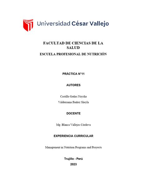 Matriz Del Marco Lógico Pdf