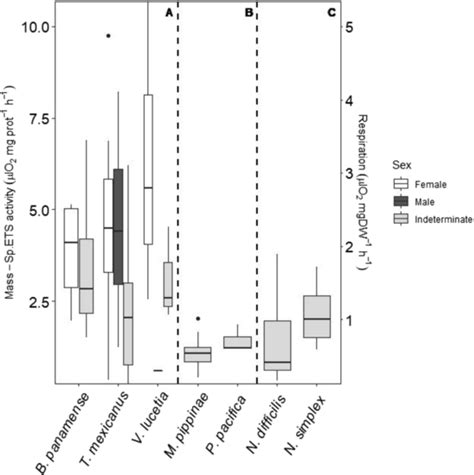 Mass Specific Ets Activity Left Y Axis And Respiration Right Y Axis Download Scientific