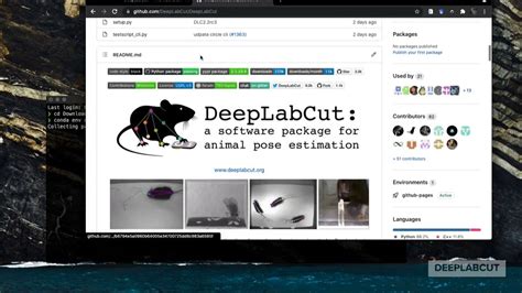 How To Install DeepLabCut In 3 Minutes YouTube
