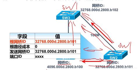生成树协议（stp）stp算法原理 Csdn博客