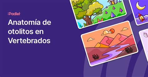 Anatomía De Otolitos En Vertebrados