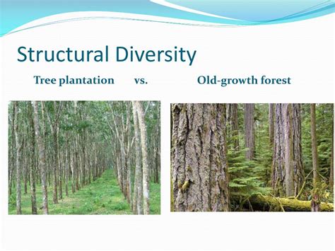 Ppt Biodiversity Powerpoint Presentation Free Download Id1957757