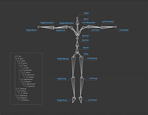 rigged body learn tiktok effect house