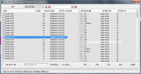 12D ASCII 가져오기 패널