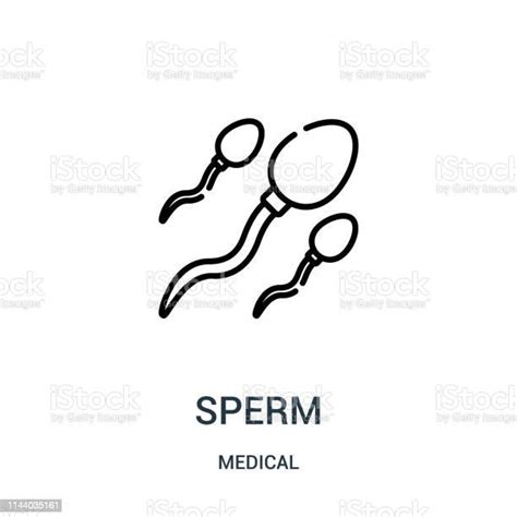 의료 컬렉션에서 정자 아이콘 벡터입니다 얇은 라인 정자 개요 아이콘 벡터 일러스트 레이 션 0명에 대한 스톡 벡터 아트 및 기타