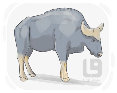 Definition And Meaning Of Gaur Langeek