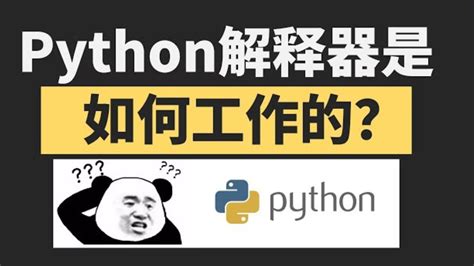 最新Python一站式入门教学 抢先体验 python代码的编译运行流程 YouTube