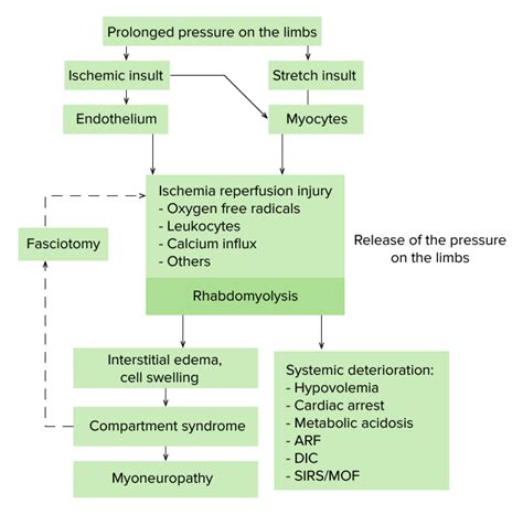Crush Syndrome Concise Medical Knowledge