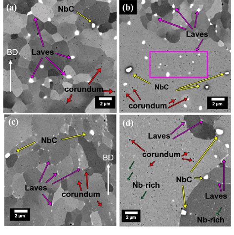 Sem Images Under Bse Mode Showing The Location Of The Laves Phase The