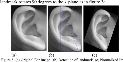 Figure 1 From Human Ear Classification Scheme Based On Lobule Chain Code And Helix