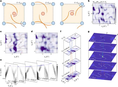 Electronic Topology Driven Inter Helicoid Arc Van Hove Singularity In