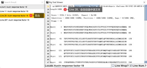 教程 “美好体验”本地 Blast 基因功能鉴定textview Tbtools Csdn博客