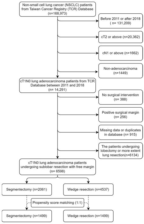 Segmentectomy Versus Wedge Resection For Stage Ia Lung Adenocarcinoma—a
