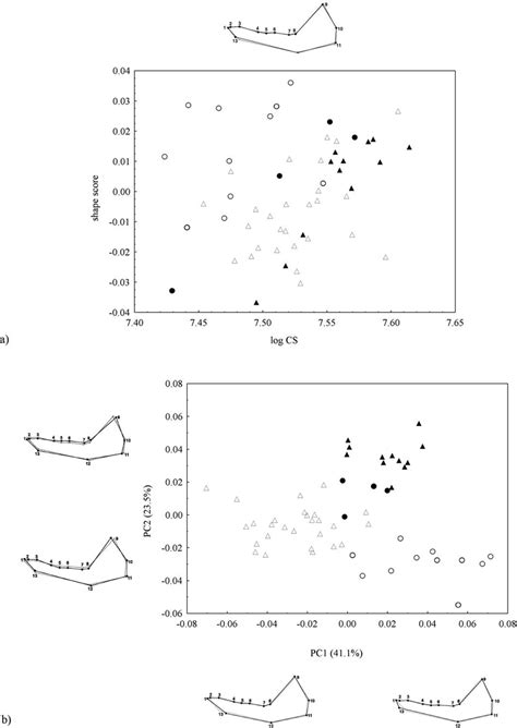—allometric And Nonallometric Components Of Variation In Mandibular