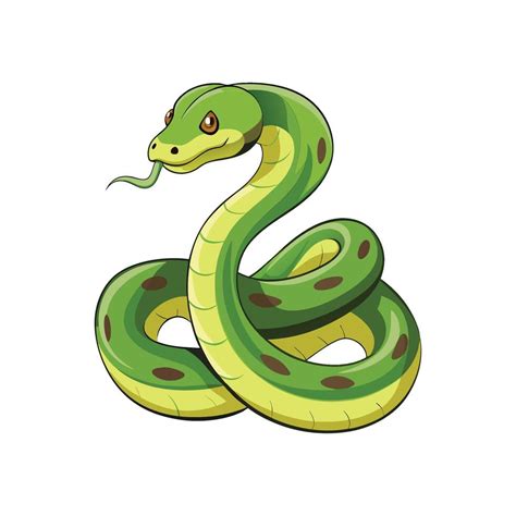 Realistic Olive Python Wildlife Artwork 57803175 Vector Art At Vecteezy
