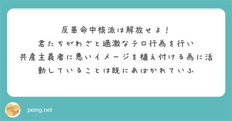 反革命中核派は解放せよ！ 君たちがわざと過激なテロ行為を行い Peing 質問箱