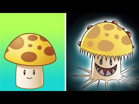 Sun Shroom Plants Vs Zombies